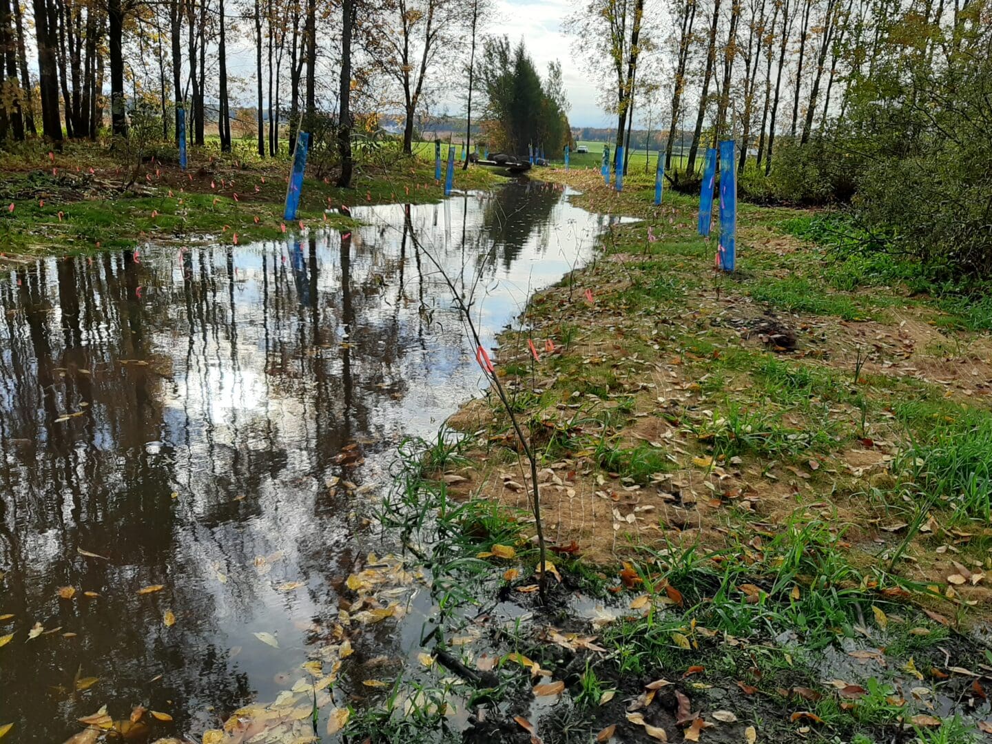 Amélioration des habitats de reproduction de la perchaude au lac St ...